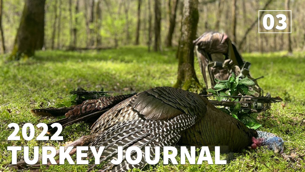 2022 ALABAMA SWAMP GOBBLERS | MULTIPLE shots FIRED!!! | 2022 Wild ...