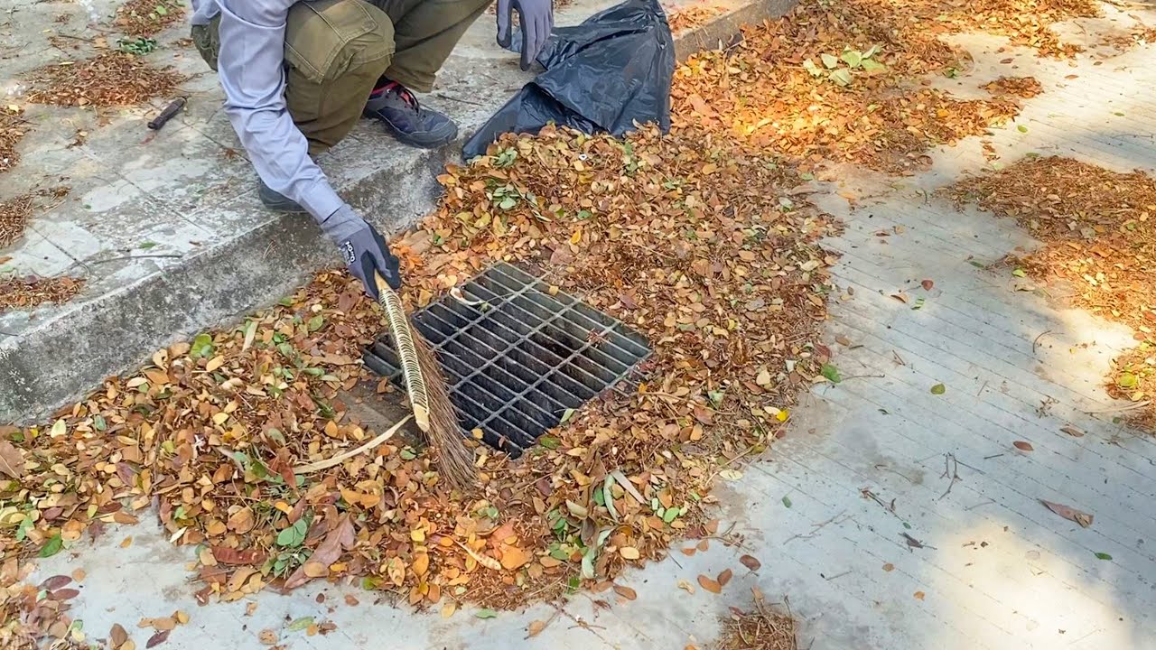 Blocked Drain Removal Leaves ,Rubbish ,Debris Before The Rain Drain ...