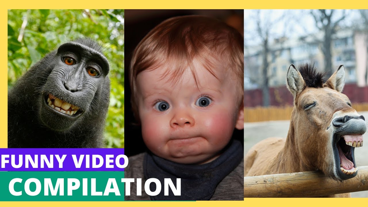 Best Fails 2023 | Try Not To Laugh. - YouTube