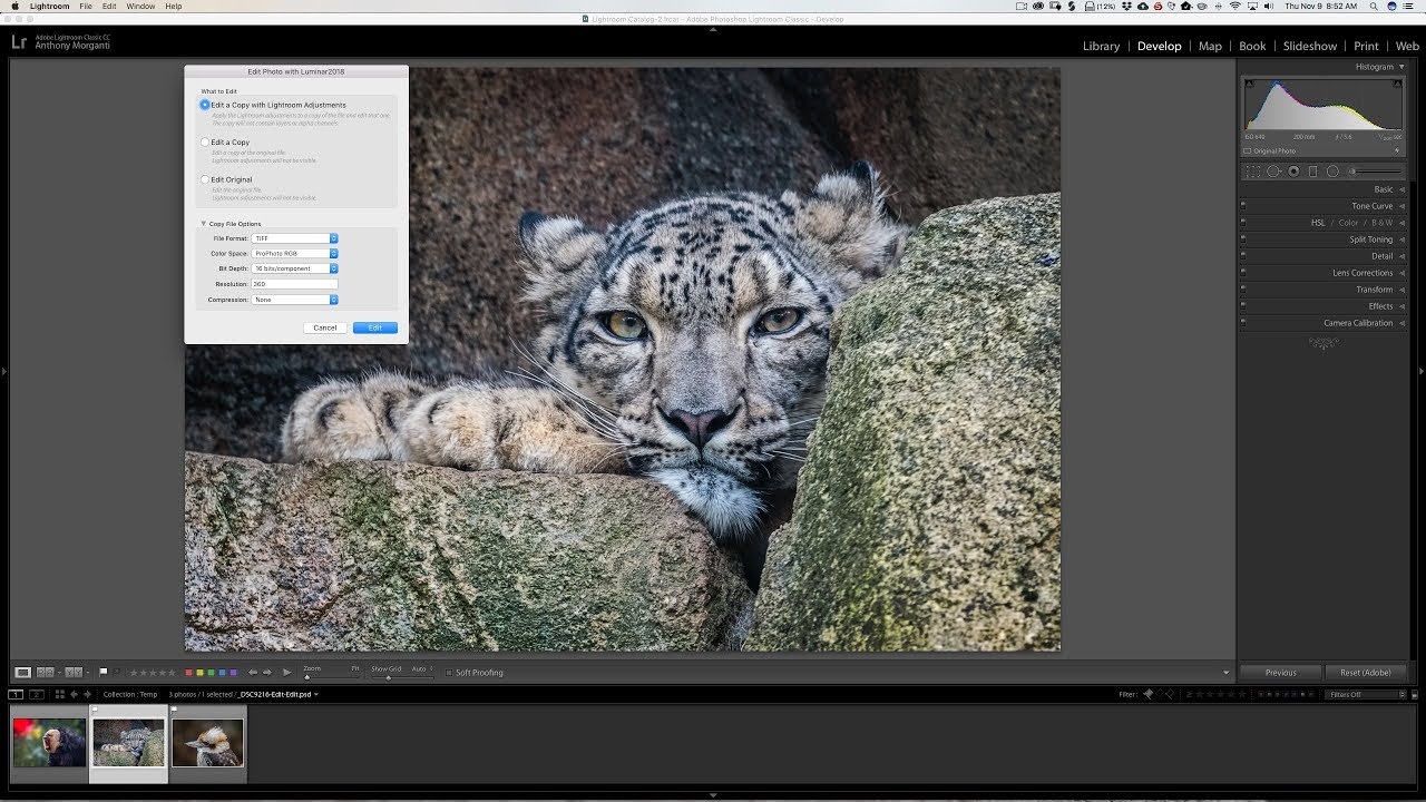 Lightroom Quick Tips - Episode 135: Edit Plugin Defaults - YouTube
