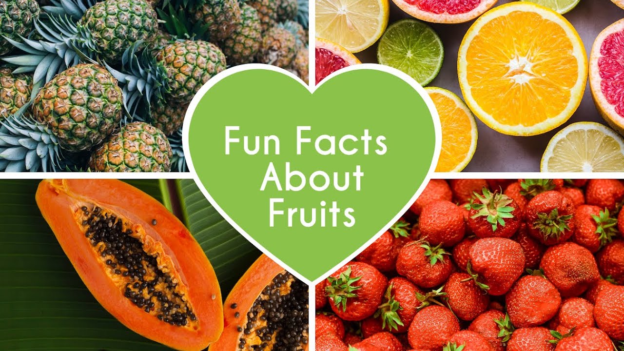 Fun Facts about Fruits by Crazy_Kitchen #Crazy_Kitchen #fun fruits ...