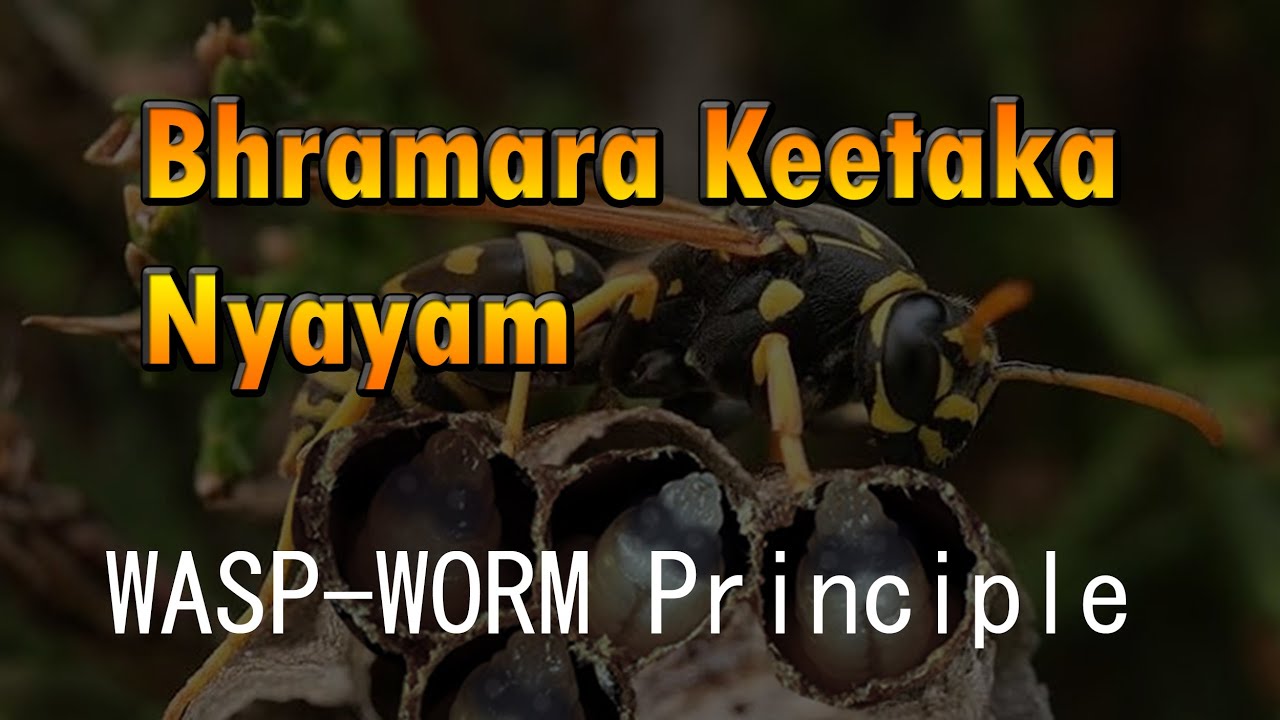 Wasp - Worm Principle Bhramara Keetaka Nyayam - YouTube