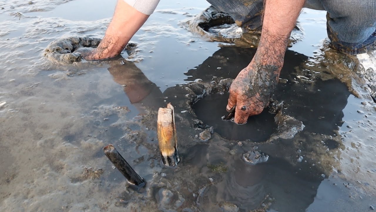 FORAGING food on a REMOTE Beach *SNAILS & RAZORS* Clams Catch Clean ...