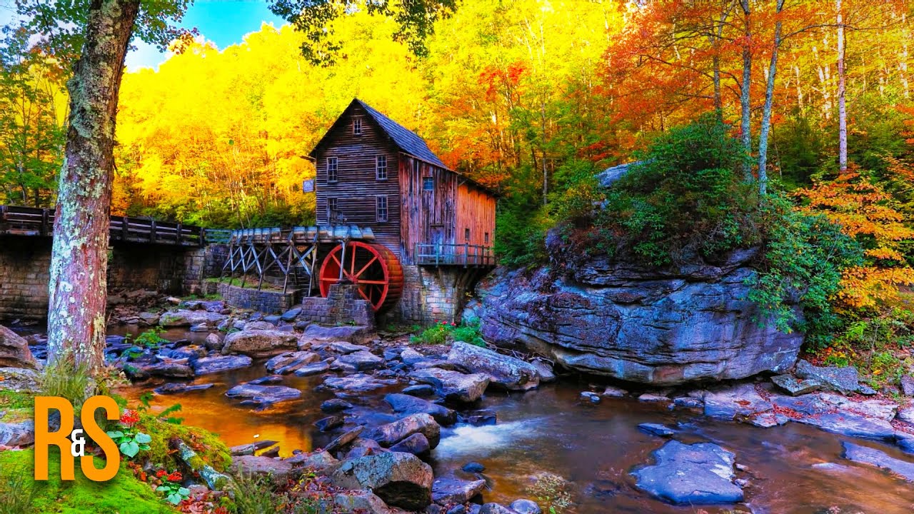 CALM STREAM OF WATER SOUNDS | 10 Hours Relaxing Video for Stress Relief ...