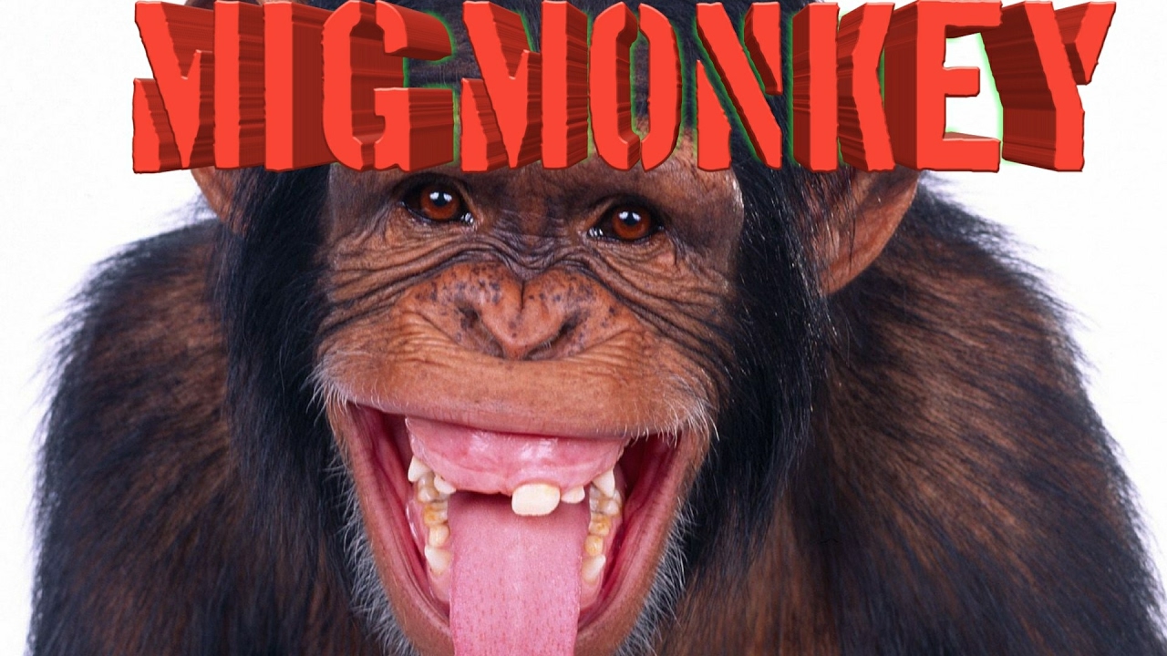 Mig monkey $$ - YouTube