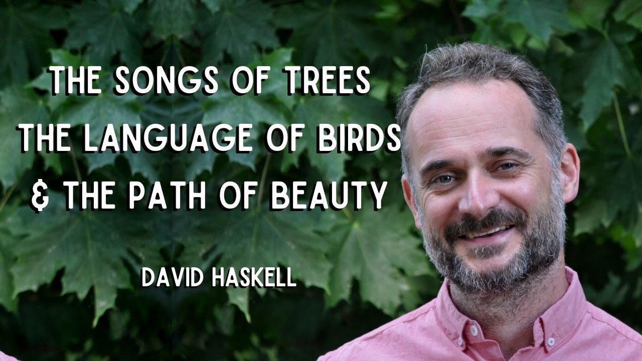 The Songs Of Trees The Language Of Birds And The Path Of Beauty David Haskell Youtube