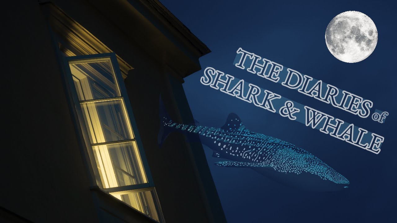 The Diaries of Shark & Whale - Chapter 3 : In the Loop - YouTube