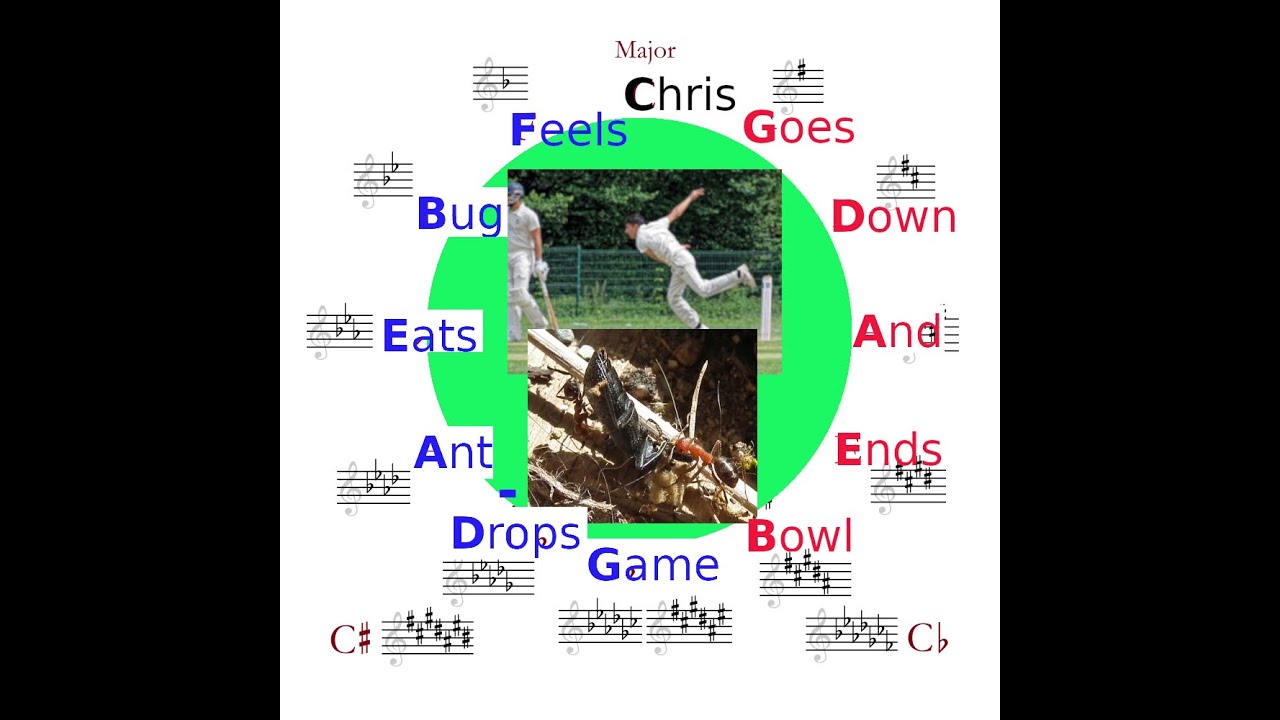 Circle of Fifths Best Memory Aid Mnemonic - YouTube