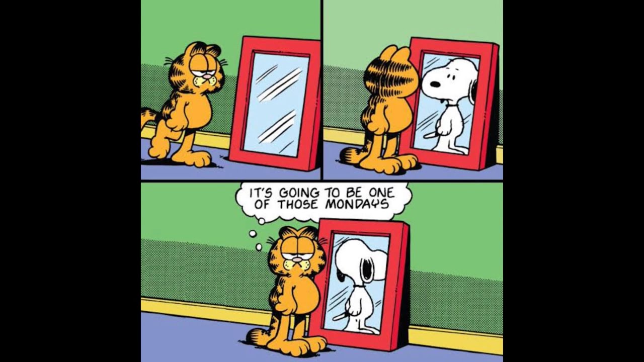 Garfield looking at the mirror but with sound effects and everything ...