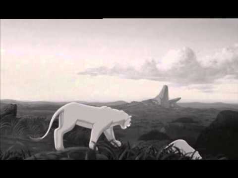 Sarabi´s story - YouTube