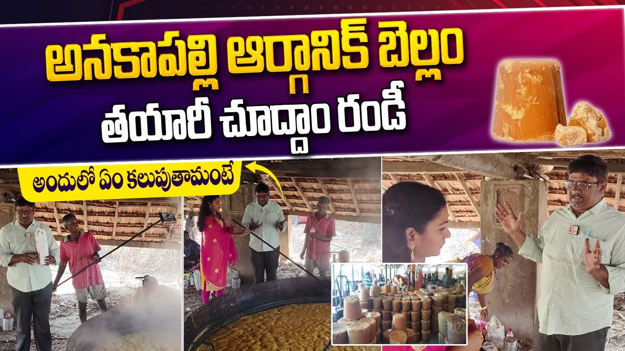 Anakapalli Jaggery Making Process | Making Of Organic Bellam | Natural ...