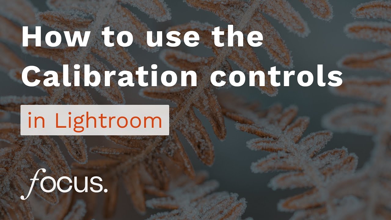 How To Adjust Colour Creatively Using The Calibration Controls In how-to-adjust-colour-creatively-using-the-calibration-controls-in