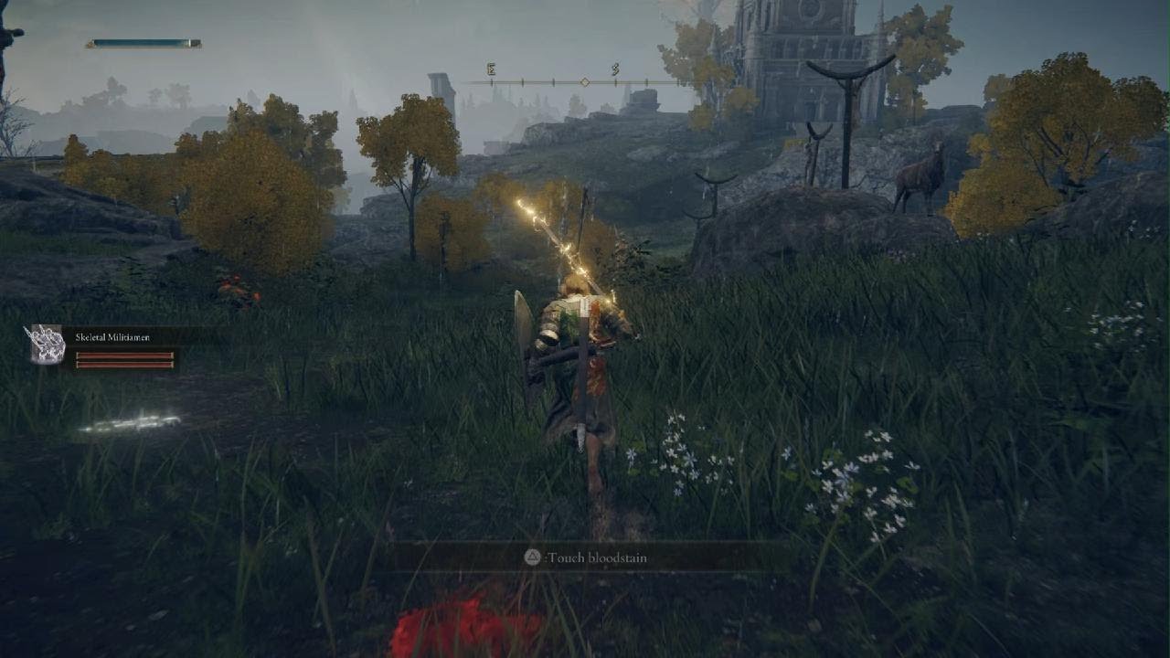 Beating Tree Sentinel with Lightning Slash - YouTube