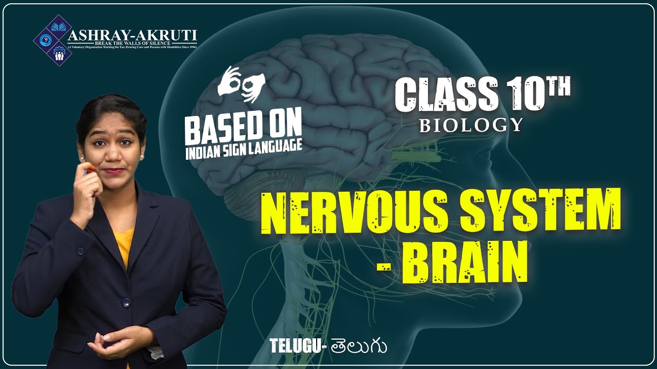 10th Class Biology | Telugu| Nervous System & Brain | Indian Sign ...