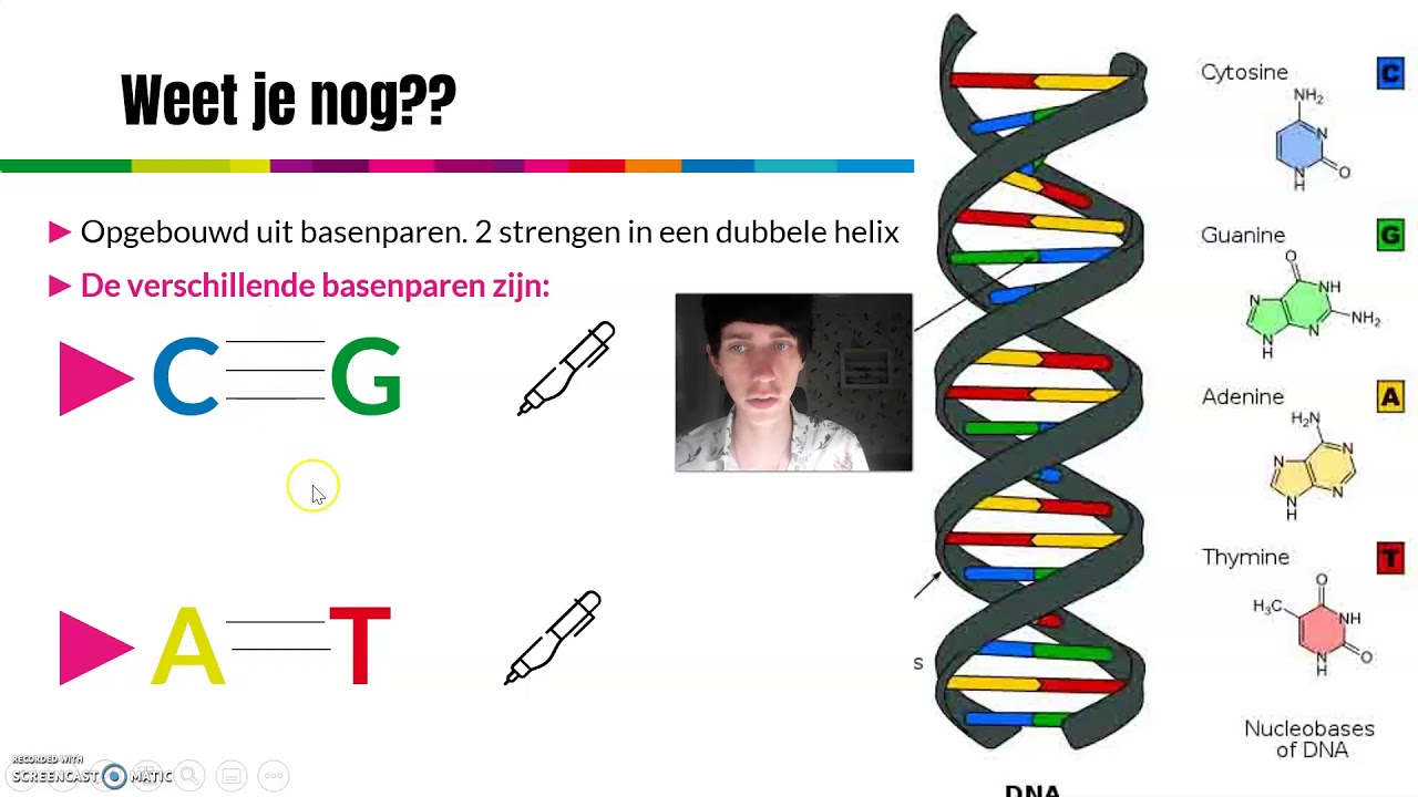 4HV | 2.4 DNA het besturingssysteem van de cel 01 | Van DNA naar RNA ...