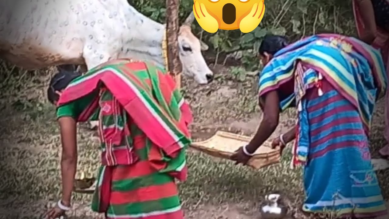 SOHRAI RE DANGRI CHUMARA AATU PATNIPAL #blog #vlog #villagelife - YouTube