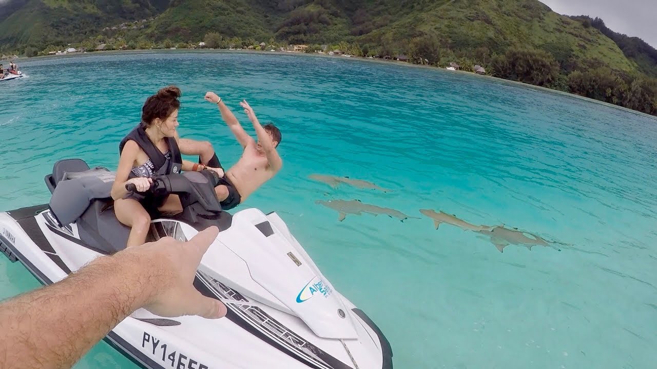 🐬 MAN FALLS OFF JET SKI INTO SHARK INFESTED WATERS 🦈 - YouTube