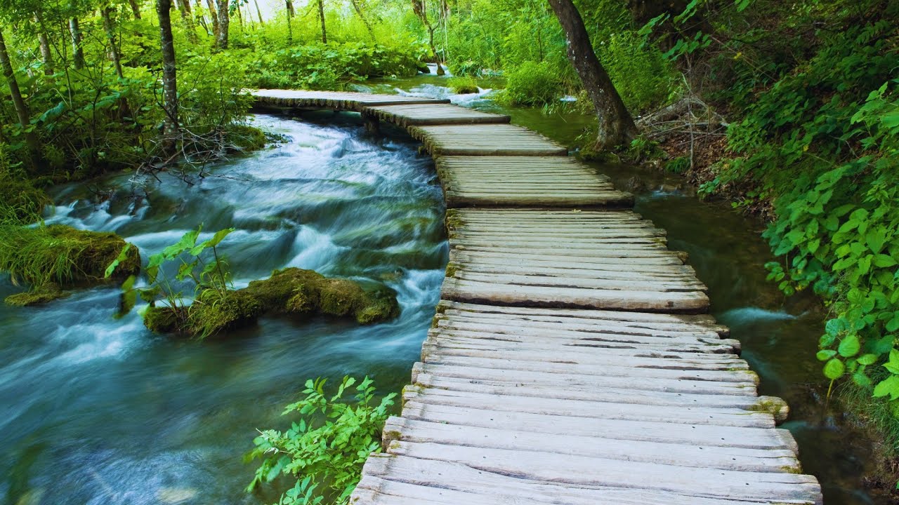 The Beauty of Nature in 4K: High-Definition Landscapes ~ Nature Hatch ...