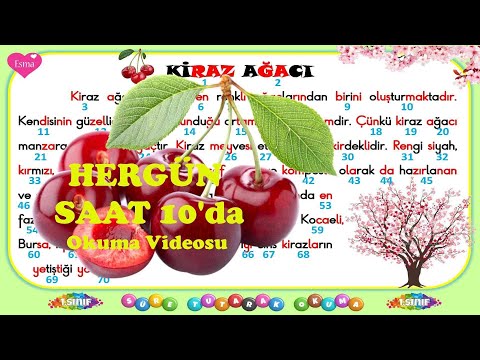 1.Sınıf Dakika Tutarak Okuma -43 / Kiraz Ağacı Metni / Süre Tutarak Hızlı Okuma / 70 Kelime/ PDF li