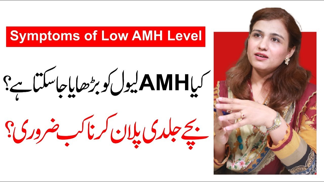 Symptoms of Serum Low AMH Level - Dr Maryam Raana Gynaecologist - YouTube