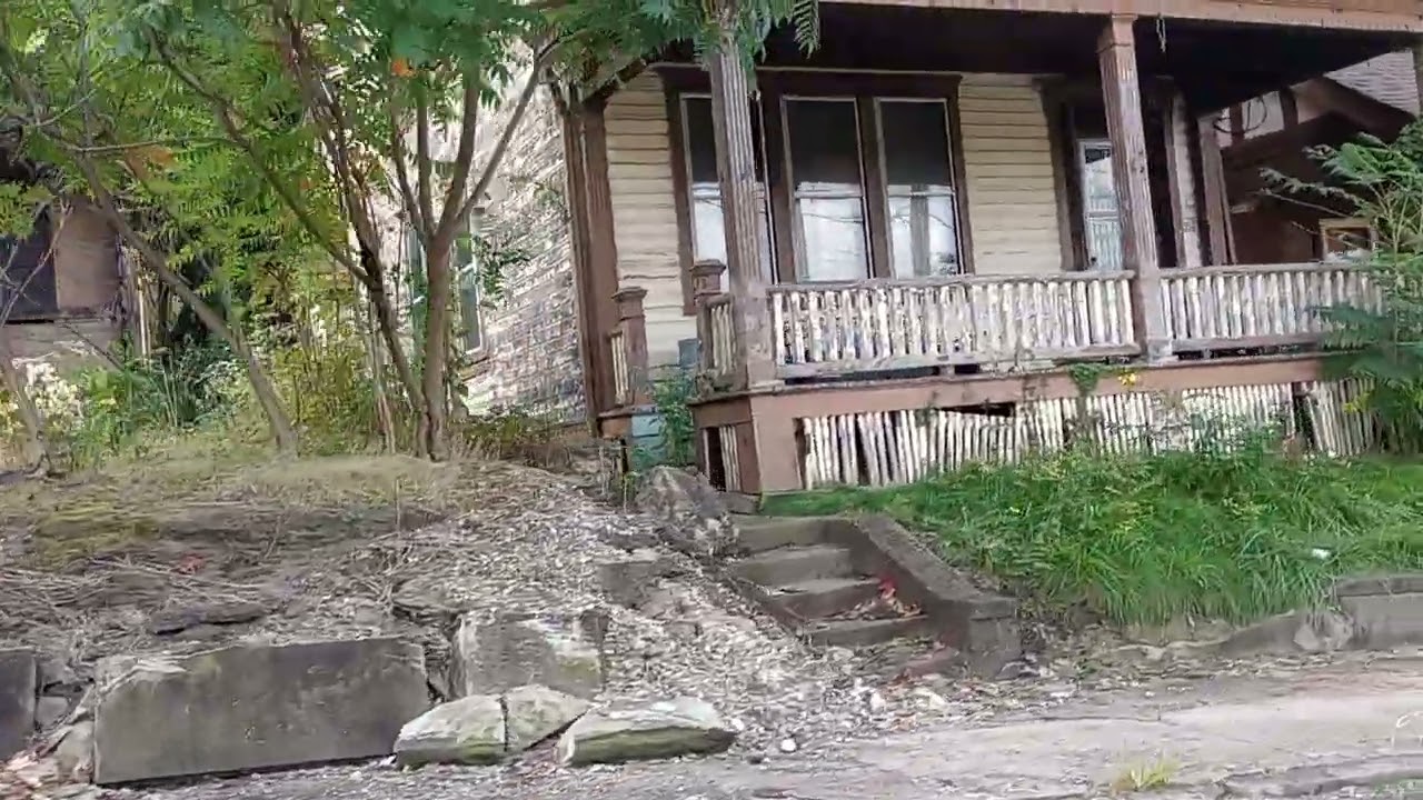 Little of Downtown, and the Little green critter out roaming - YouTube