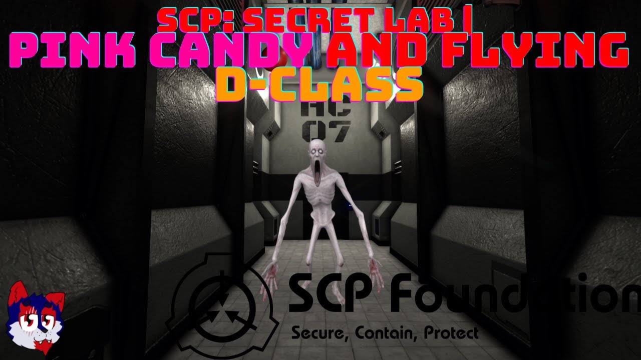 Pink Candy and Flying D-Class | Scp: Secret Laboratory | Twitch Clips ...