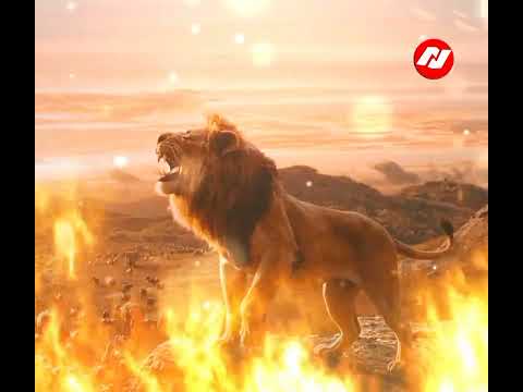 SIMBA MNYAMA WA MBUGANI🦁🇹🇿🔥🔥🔥