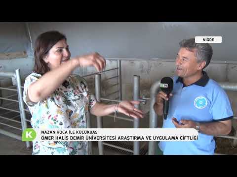 ÖMER HALİS DEMİR ÜNİVERSİTESİ ARAŞTIRMA VE UYGULAMA ÇİFTLİĞİ | NAZAN HOCA İLE KÜÇÜKBAŞ