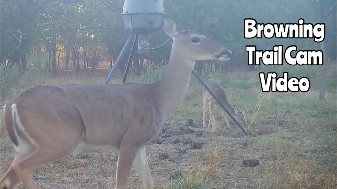 Deer Feeder #1: Browning Recon Force Advantage Oct. 17-18, 2023 - YouTube