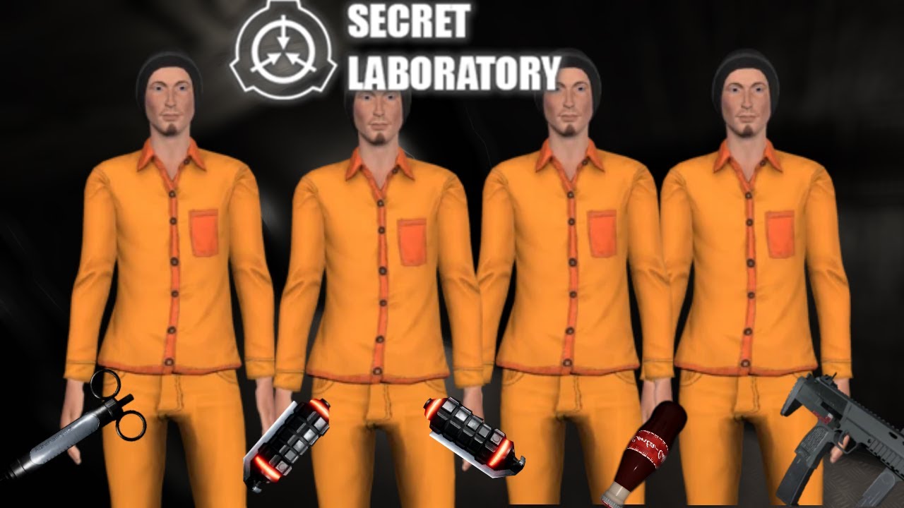 The 4 D-bois in the closet. | SCP SL (11) - YouTube