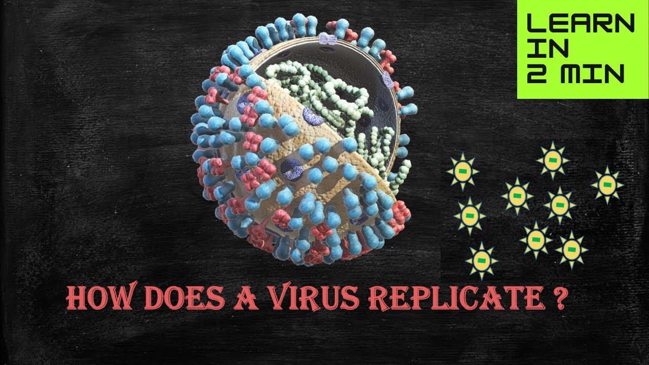 How does a Virus replicate ?? | 2-min Med Video series from Med Madness ...