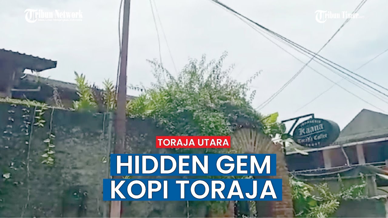 Kaana Toraya Coffee, Permata Tersembunyi di Toraja Utara - YouTube