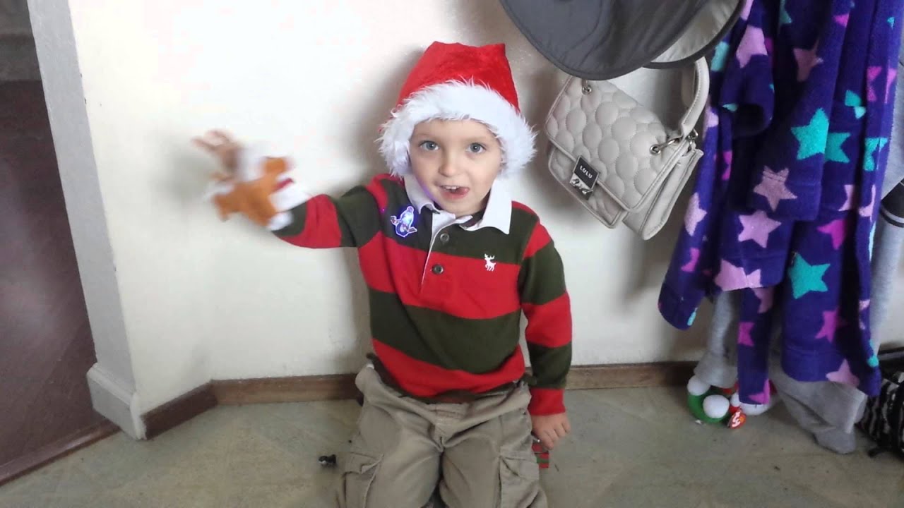 Ethan elf dog - YouTube