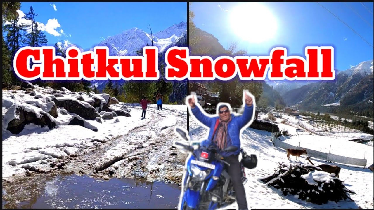 Chitkul Snowfall | Snowfall in Sangla,rakcham village to chitkul road ...