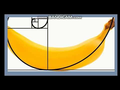 The sequence of Fibonacci numbers in fruits and vegetables - YouTube