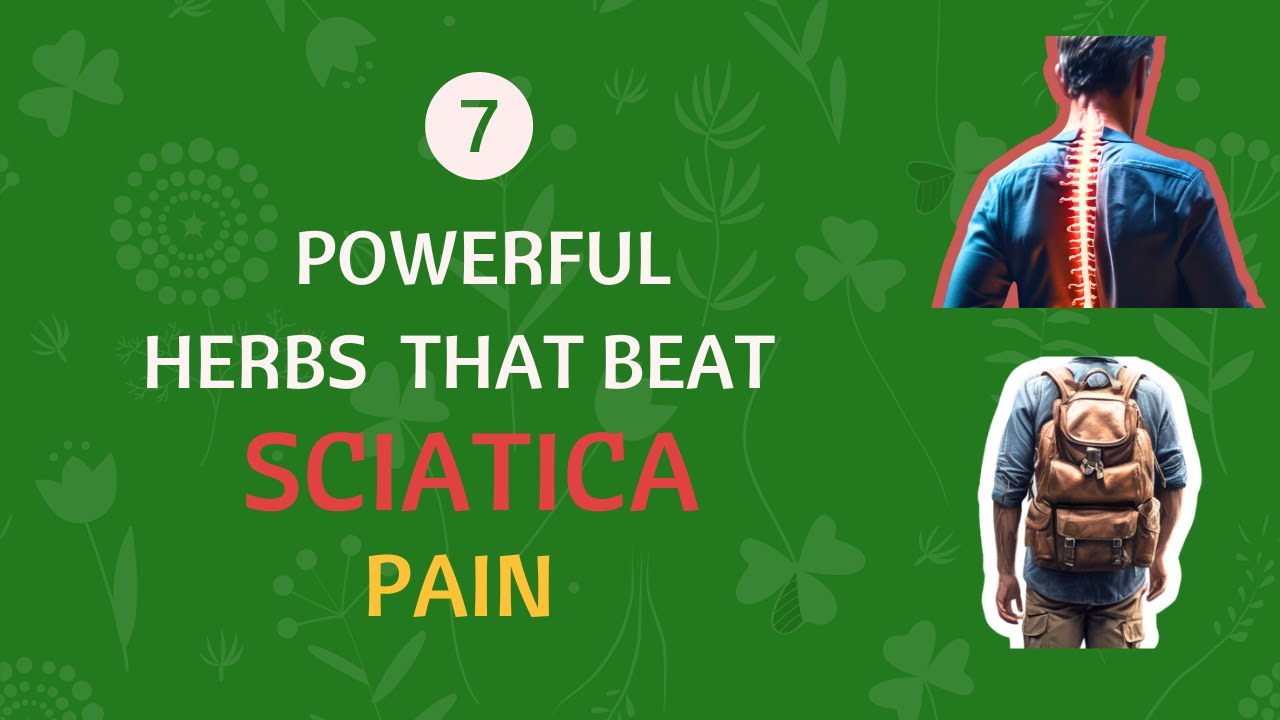 7 Powerful Herbs to Beat Sciatica Pain in 2024 - YouTube