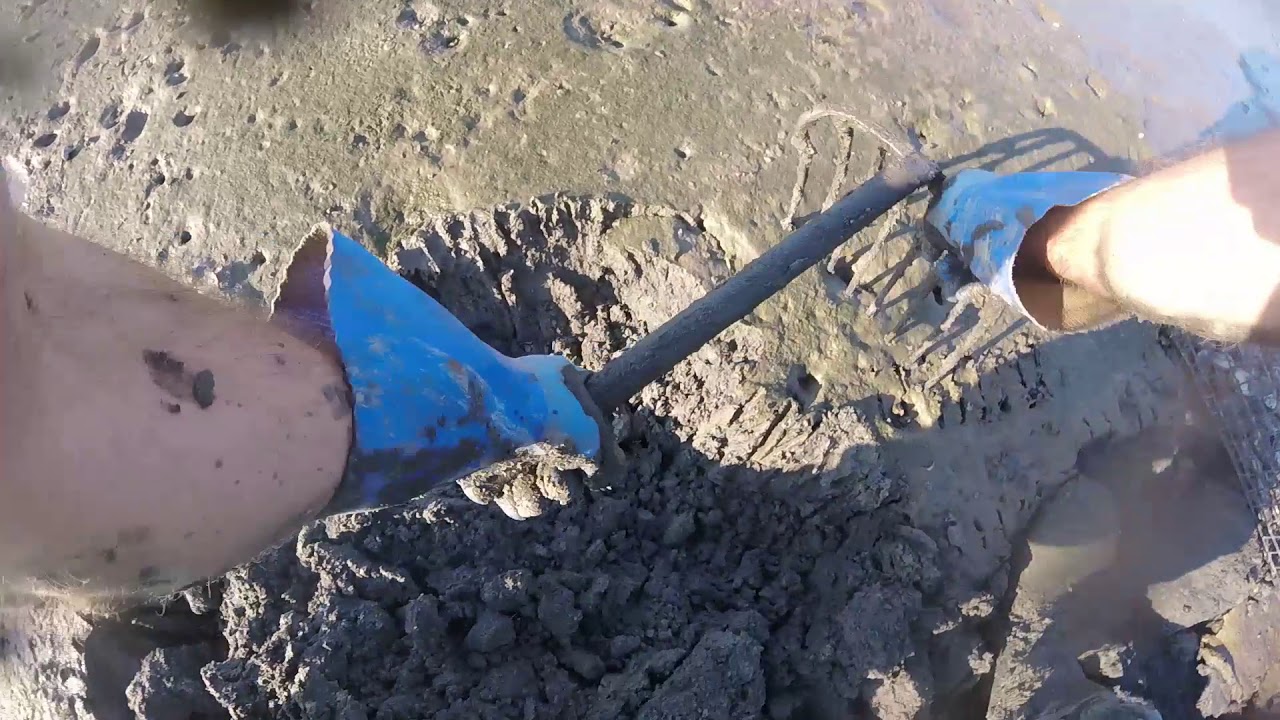 Clam Cam 1708032016 035 - YouTube