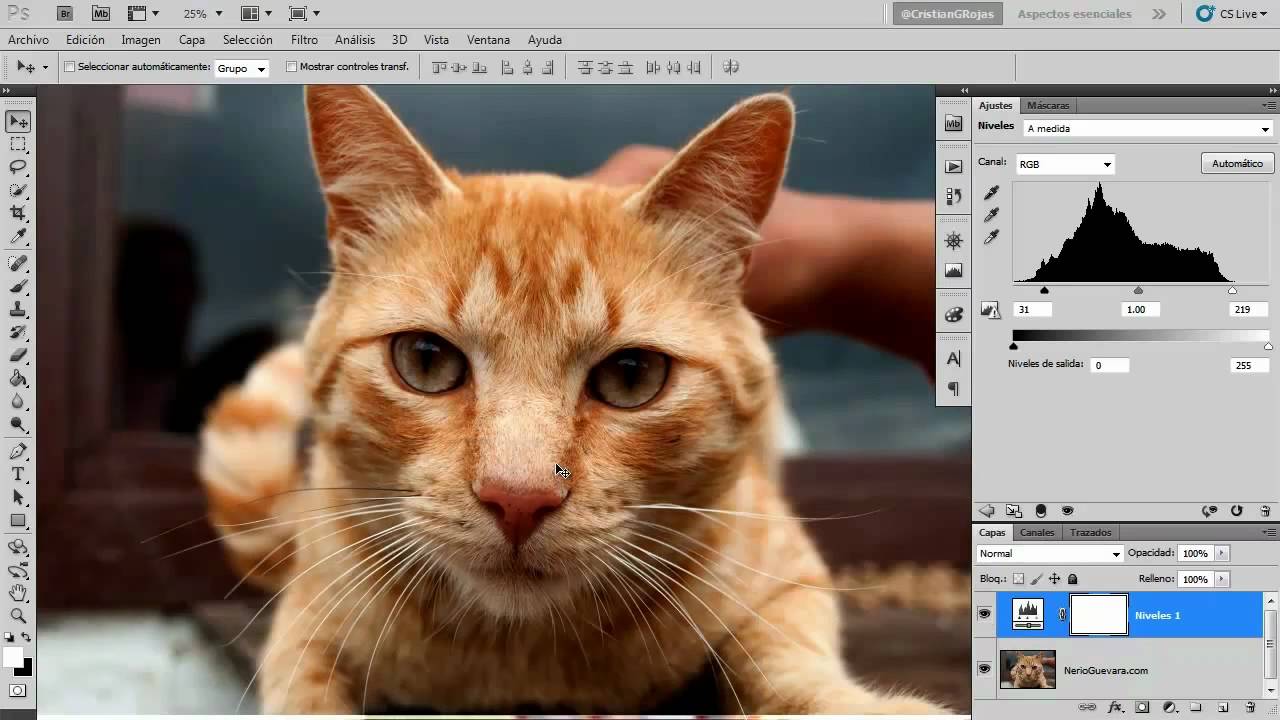 Tutorial Photoshop: Aumentando el Contraste - YouTube