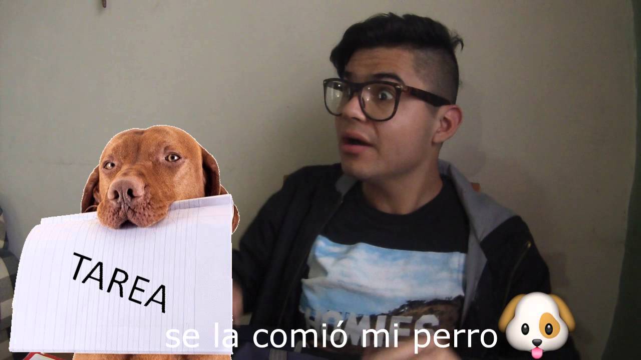 NO HICE LA TAREA ♥! - YouTube