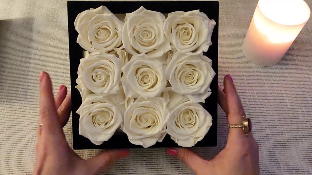 ASMR Whispering Review 🤍 Essential Ivory Black Velvet Preserved Roses ...