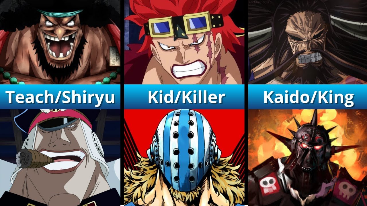 ONE PIECE Captains and Their Commanders | Best Right Hand Commanders ...