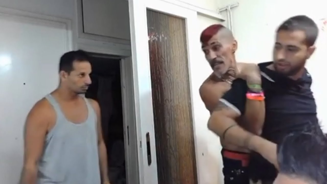 ΒΑΡΔΟΣ ΚΑΙ ΡΕΝΤ ΝΤΡΑΓΚΟΝ ΡΊΧΝΟΥΝ ΤΟ ΞΥΛΟ ΤΗΣ ΑΡΚΟΎΔΑΣ ΣΕ ΜΑΝΘΟ😂😂😂 - YouTube