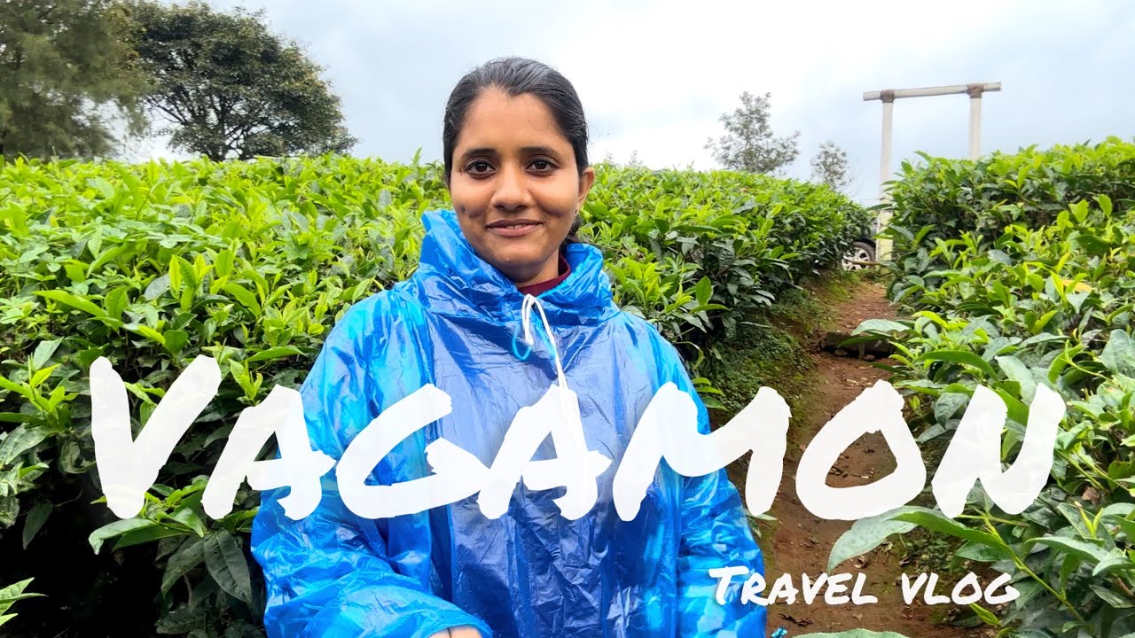 Journey to the beauty of Vagamon-part 1 |#idukki #vagamon #travel # ...