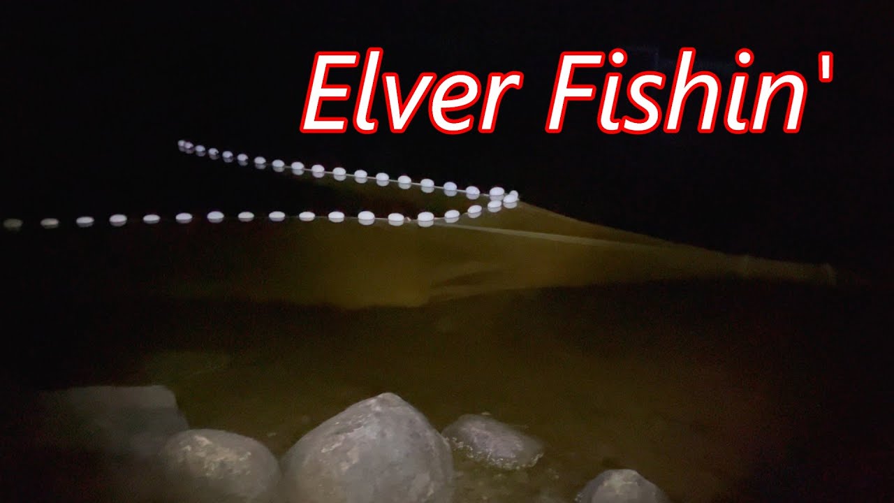 Elver Fishing- Into The Night - YouTube
