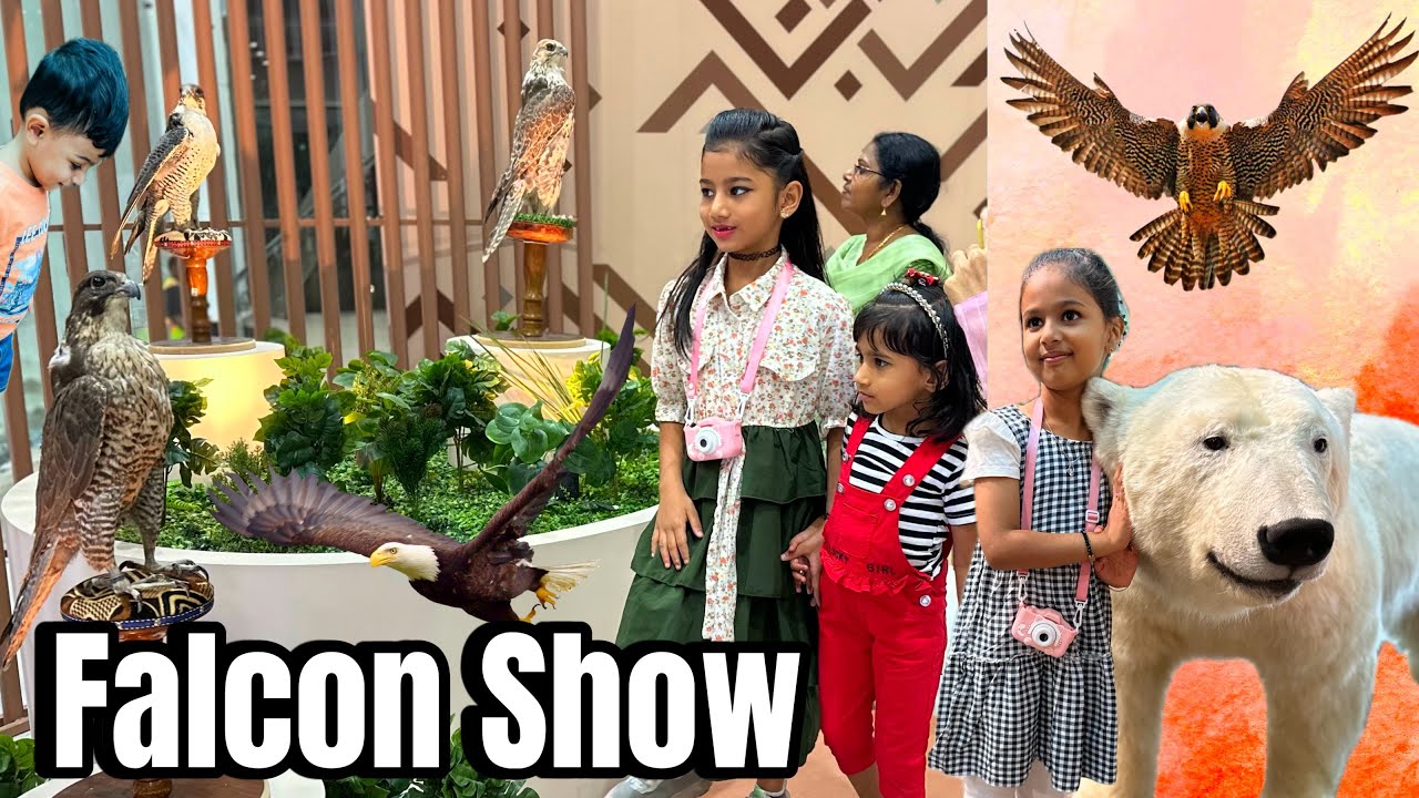 Falcon Show 🦅 #travelvlog #saudiarabia - YouTube