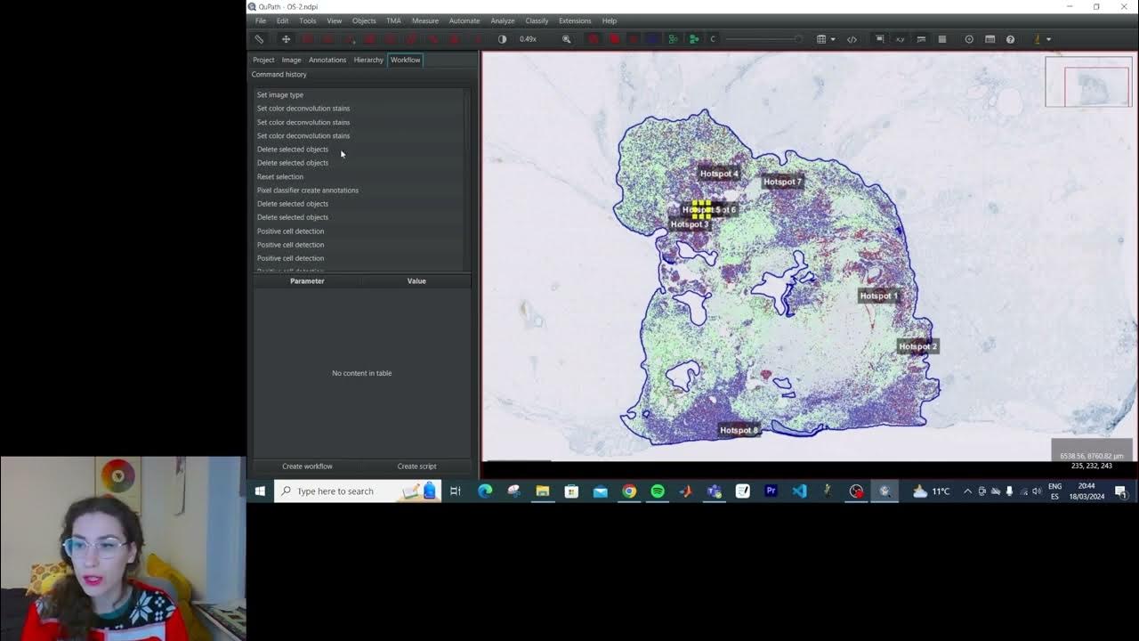 Creating pipelines and workflows with QuPath - YouTube