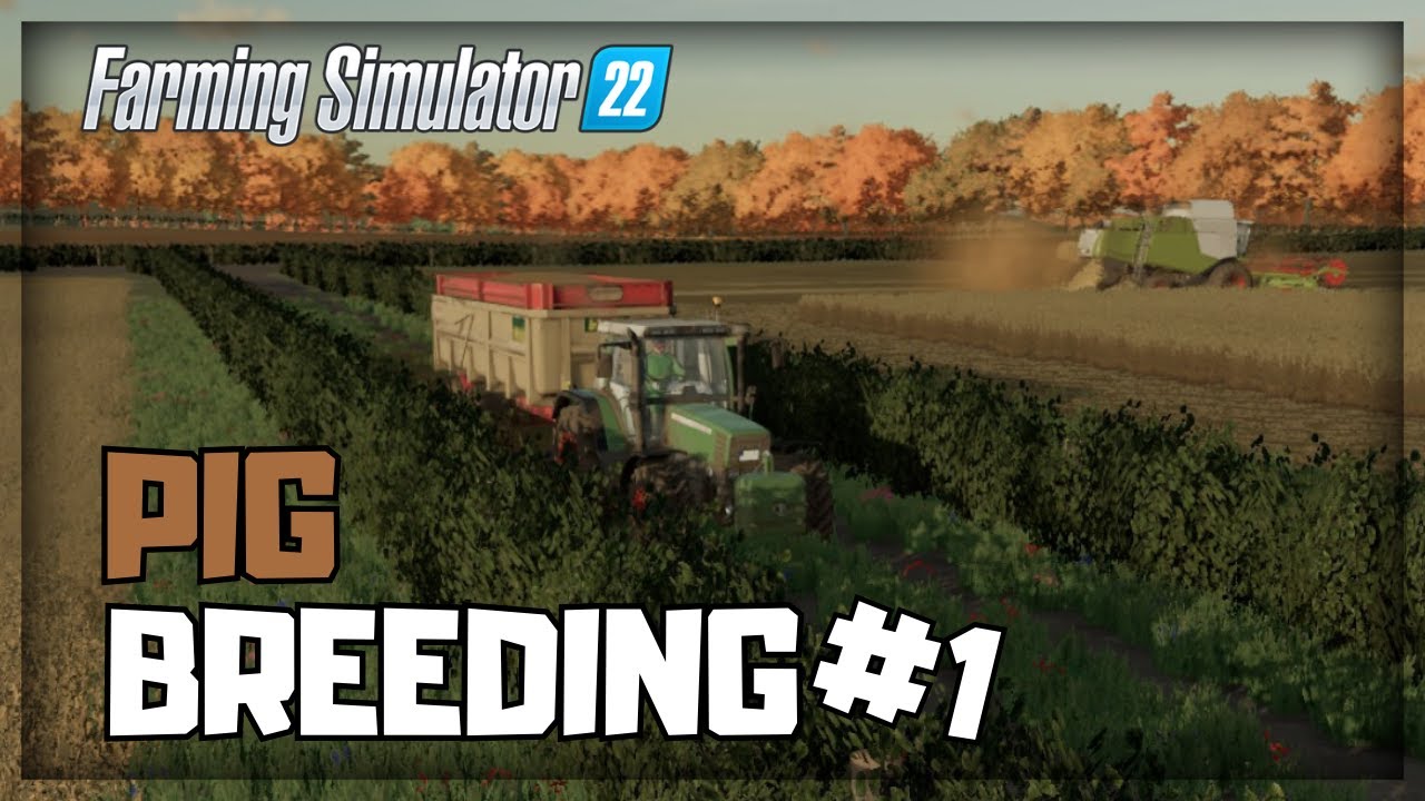 FS22 #1 | Pig Breeding | First HARVEST ! 'Glenleathann' - YouTube