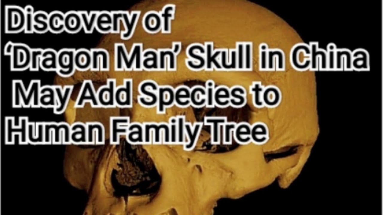 "DRAGON MAN "SKULL DISCOVERY IN CHINA - YouTube