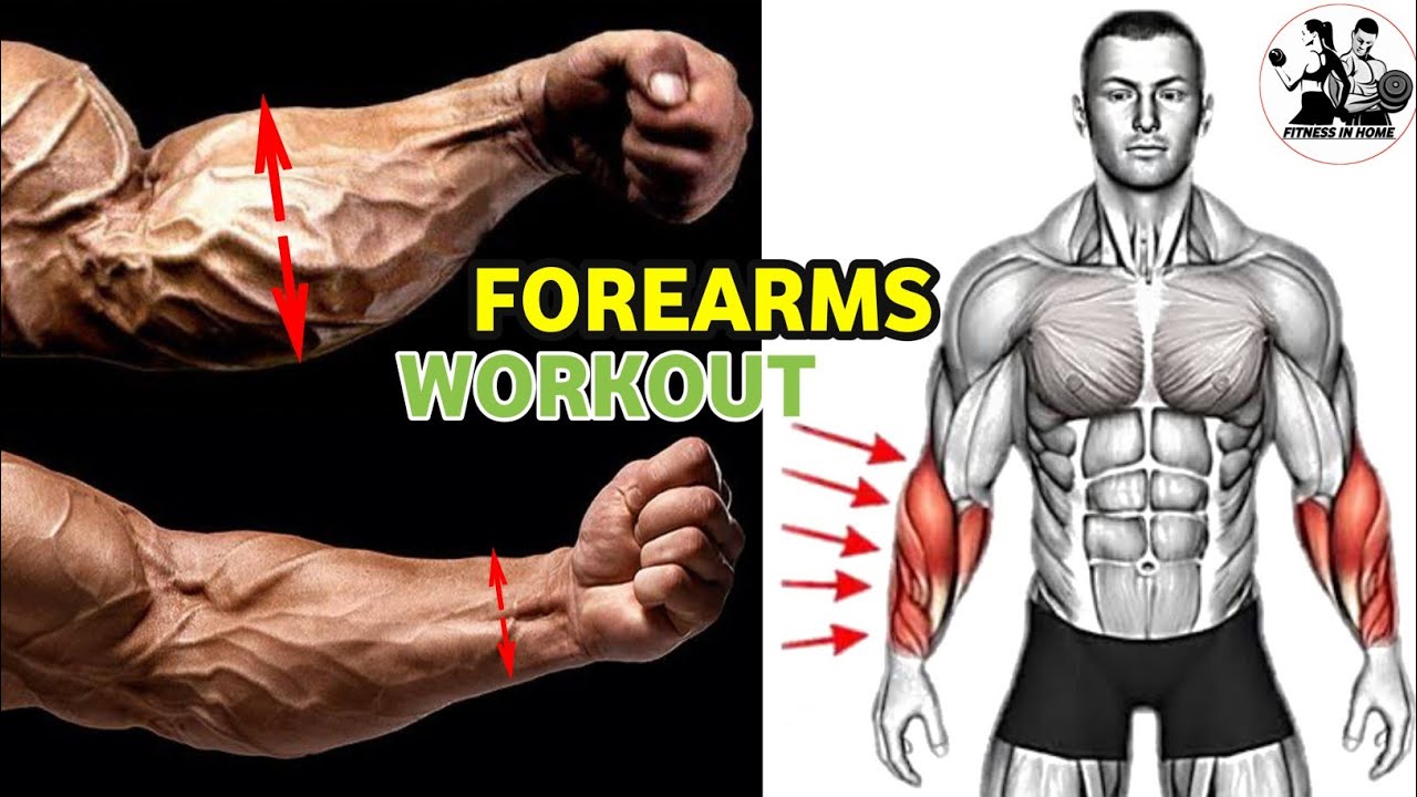 Best 7 Exercises Forearms And Wrist || Forearm kaise banaye ||FITNESS ...