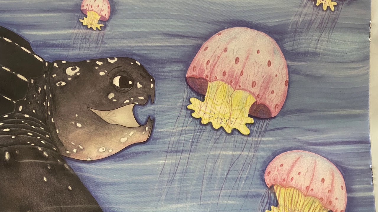 Scute's School: Scute's Ocean Adventure Reading - YouTube